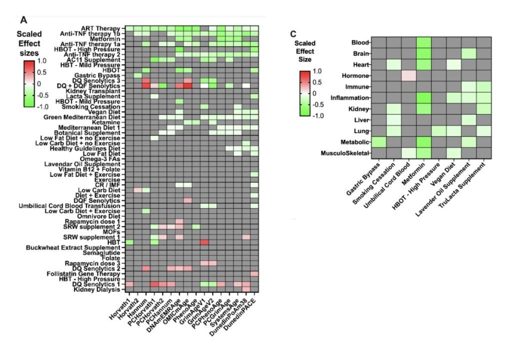 Bryan Johnson's HBOT experiment with the ZEUGMA hyperbaric chamber ...
