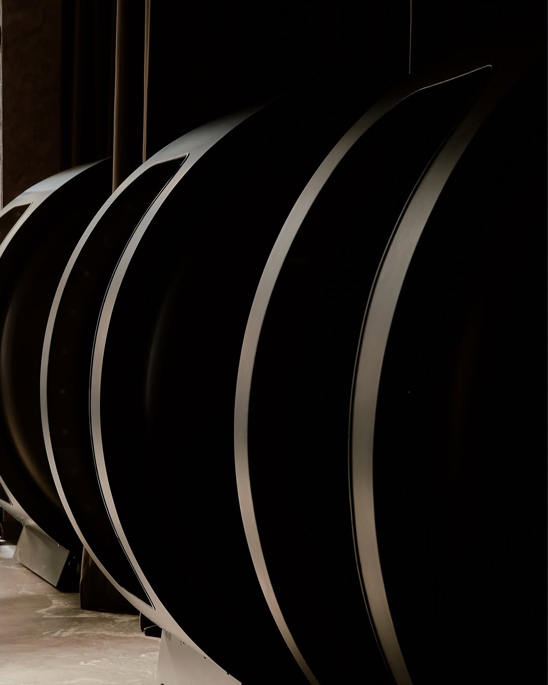 HPOTECH x Don't Die Summit: Exploring the science of longevity with hyperbaric oxygen therapy ...